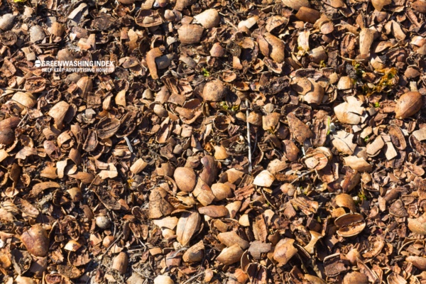 Pistachio Shells Compostability [A Green Choice for Gardens]